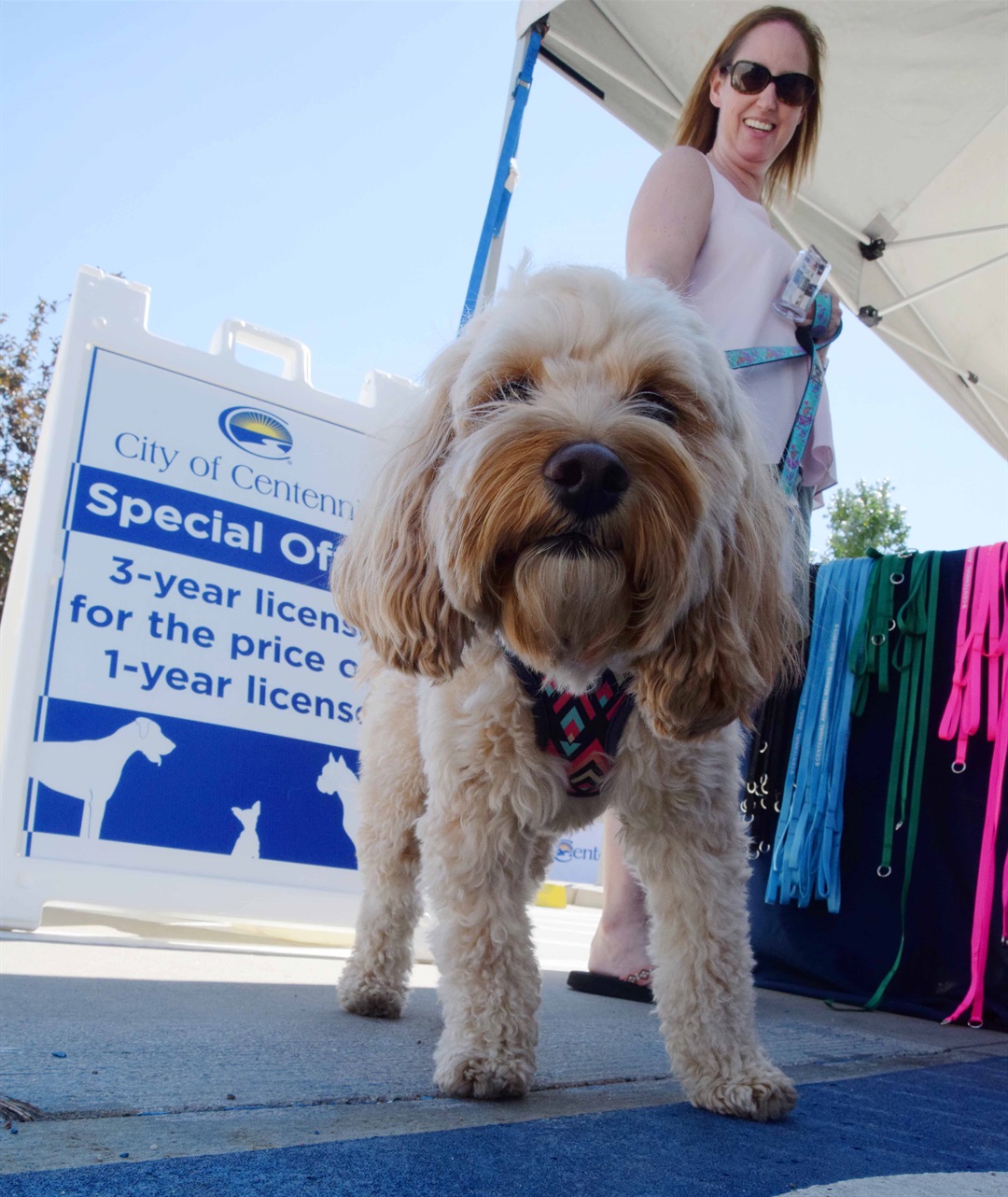 Apply for an Animal License – City of Centennial