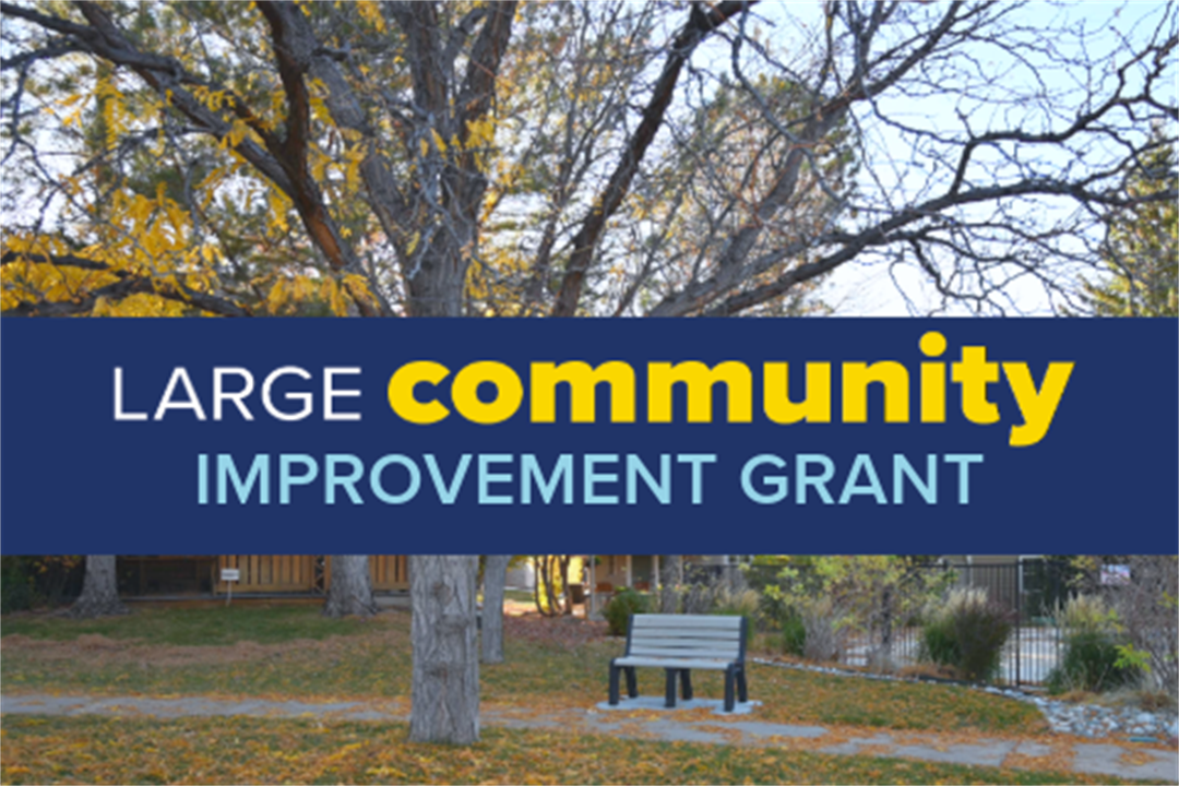 Large Community Improvement Grant – City of Centennial