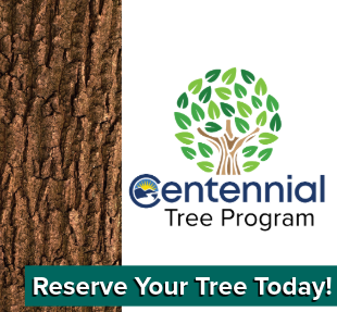 Home – City of Centennial